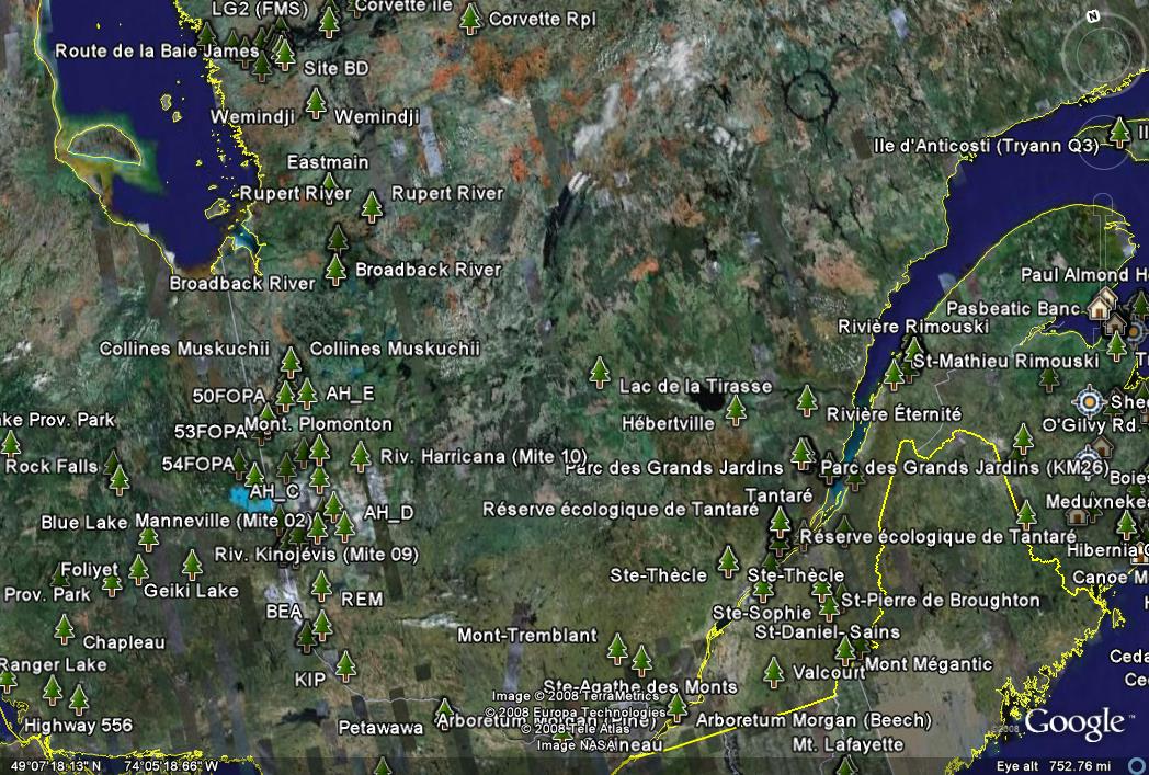 CanDendro Google Sites